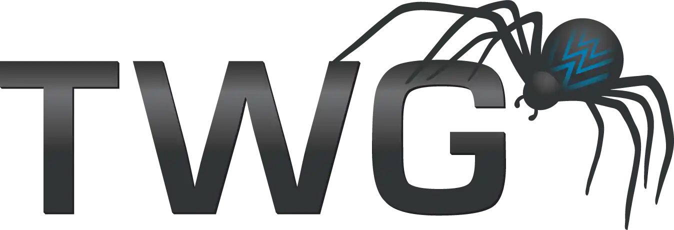 The Web Guys | Working harder for your business